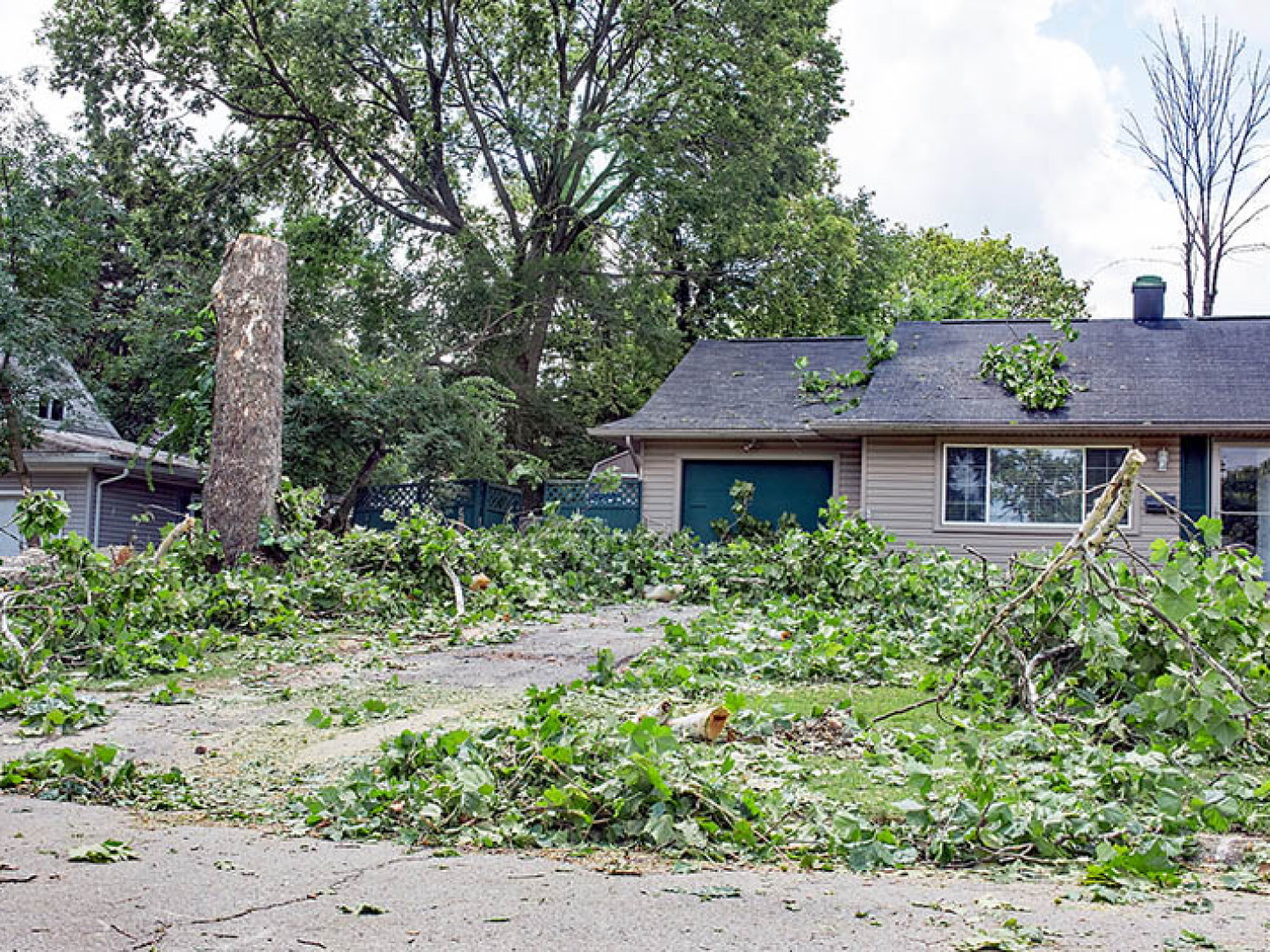 Debris Removal | PERKS TREEMASTERS